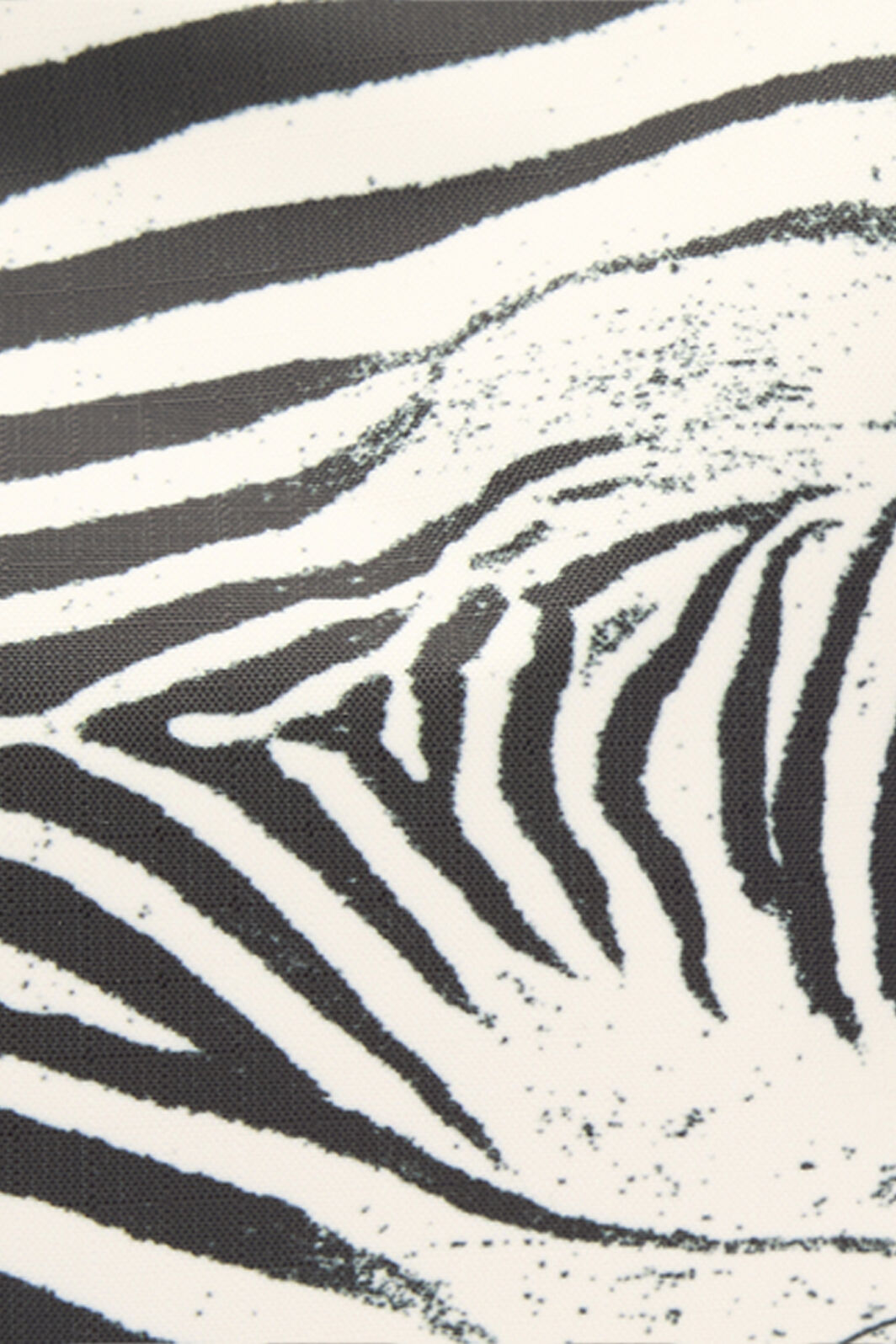Bologna Medium Bag in Black/White for Women | Roberto Cavalli®